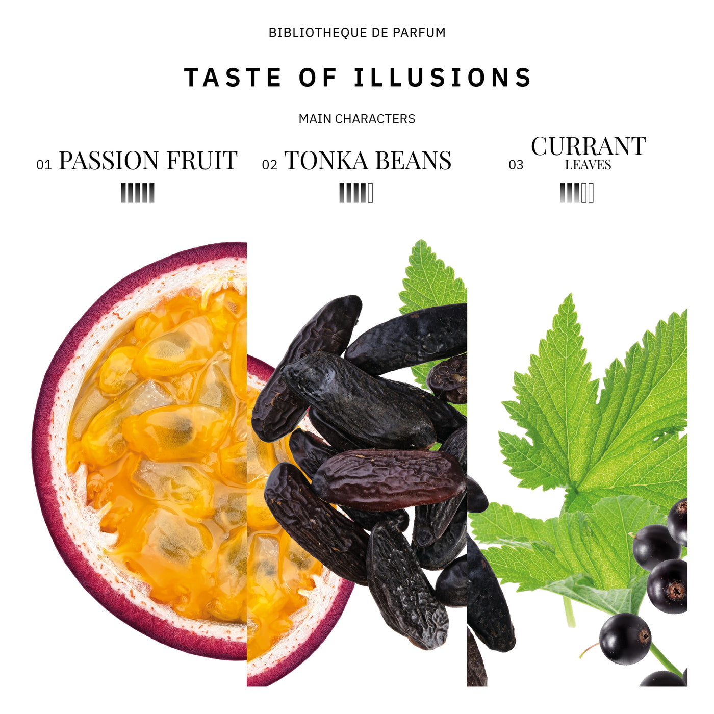 Odblokuj wszystkie rabaty: zdobądź wycenę teraz - Bibliotheque de ...